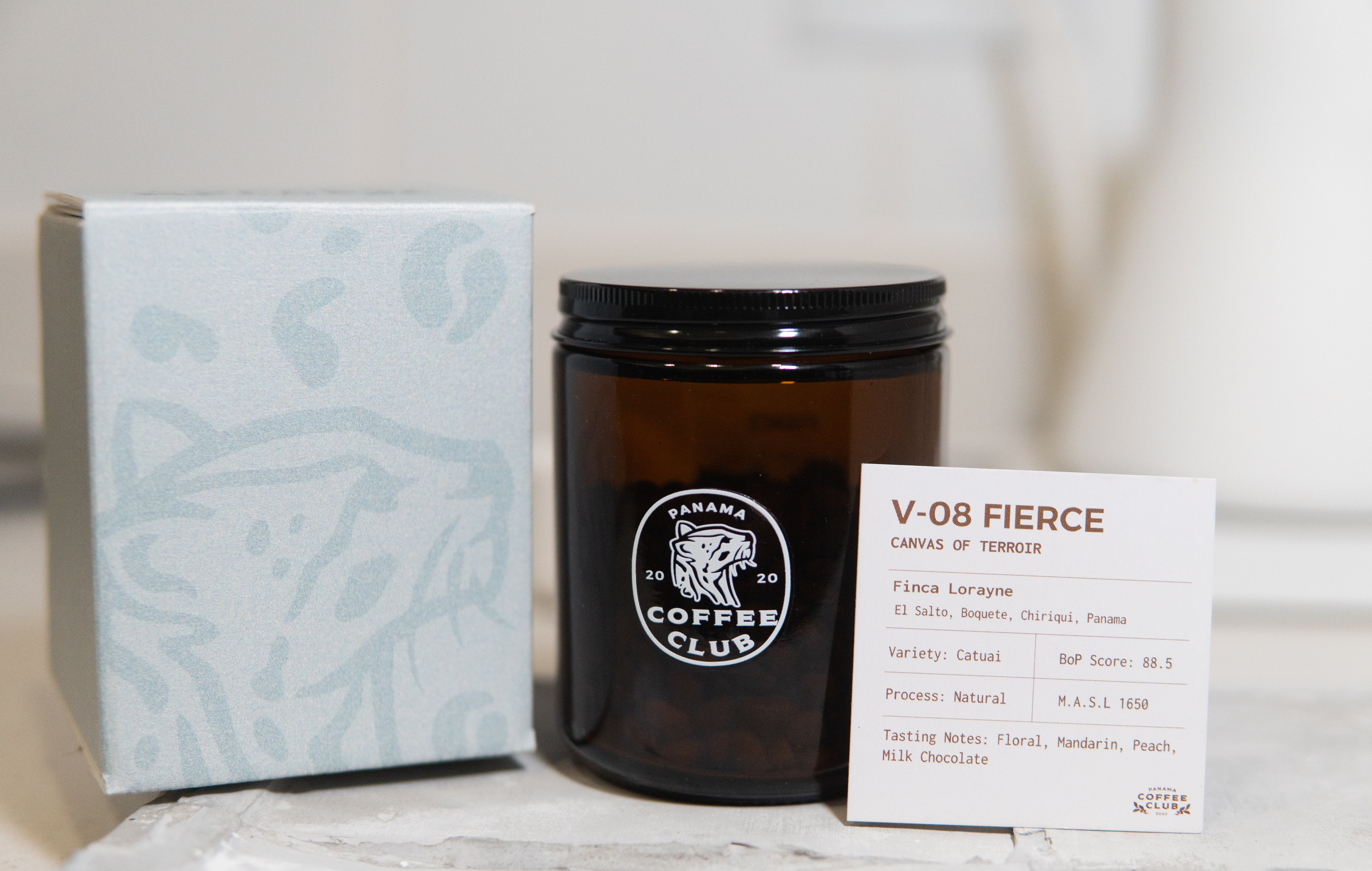 V-08 Fierce - Best of Panama - Auction Lot – PANAMA COFFEE CLUB